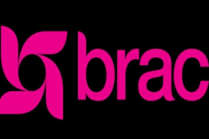 Brac Ngo Job